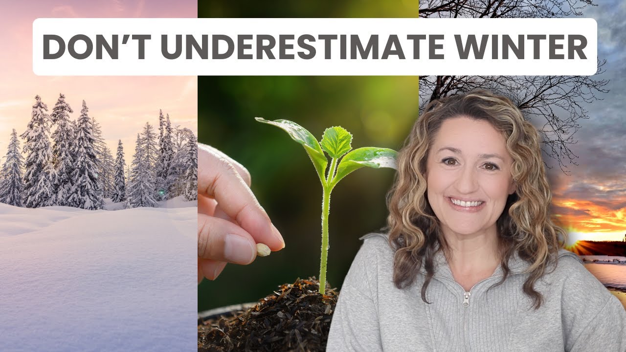 God is Working - Even in Your Winter | PODCAST