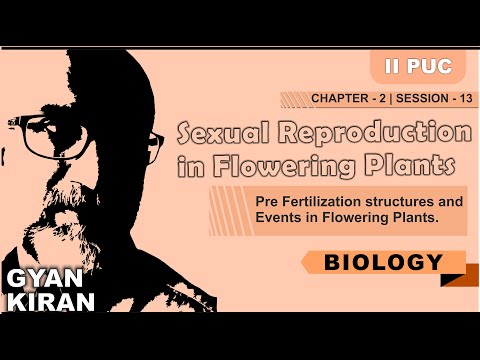 SESSION - 13, SEXUAL REPRODUCTION IN FlOWERING PLANTS,