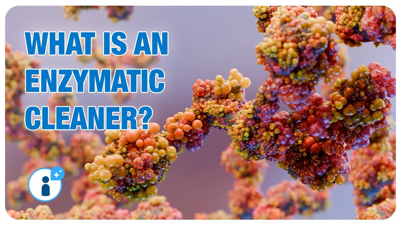 What Is an Enzymatic Cleaner? | How Enzyme Cleaners Work