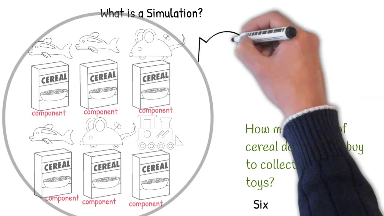 What is a Simulation?