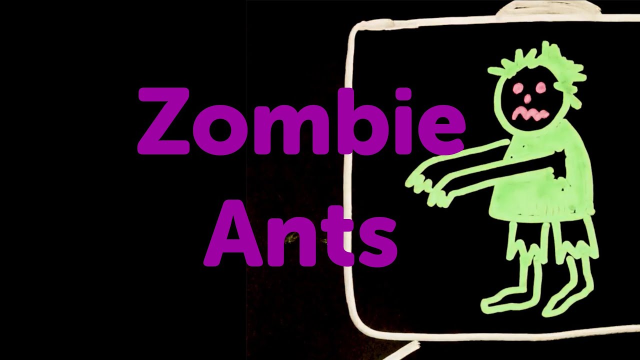 Minute Lecture : Zombie Ants