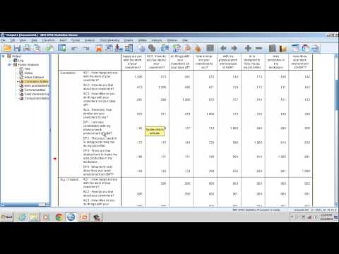 Convergent and Discriminant Validity- Correlational Matrix Approach