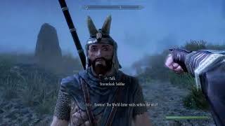 Never Heard That Scream Before Is This A Sovngarde Thing at Skyrim ...