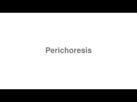 How to Pronounce "Perichoresis"