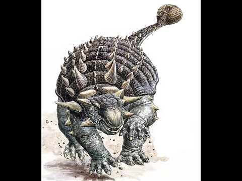 Ankylosaur Evolution Explained