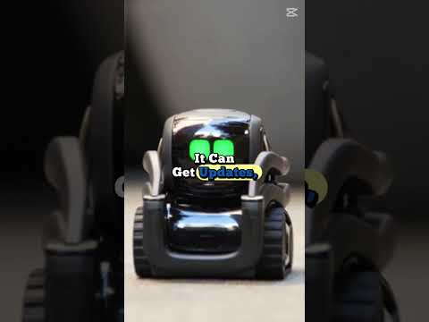 What does Anki vector robot do? #vector #vectorrobot #robot #ai #shorts #viralvideo #trending #usa