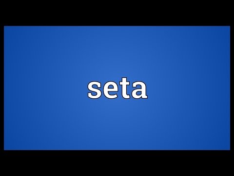 Seta Meaning