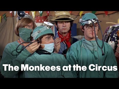 The Monkees at the Circus