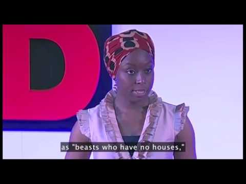 chimamanda single story extract