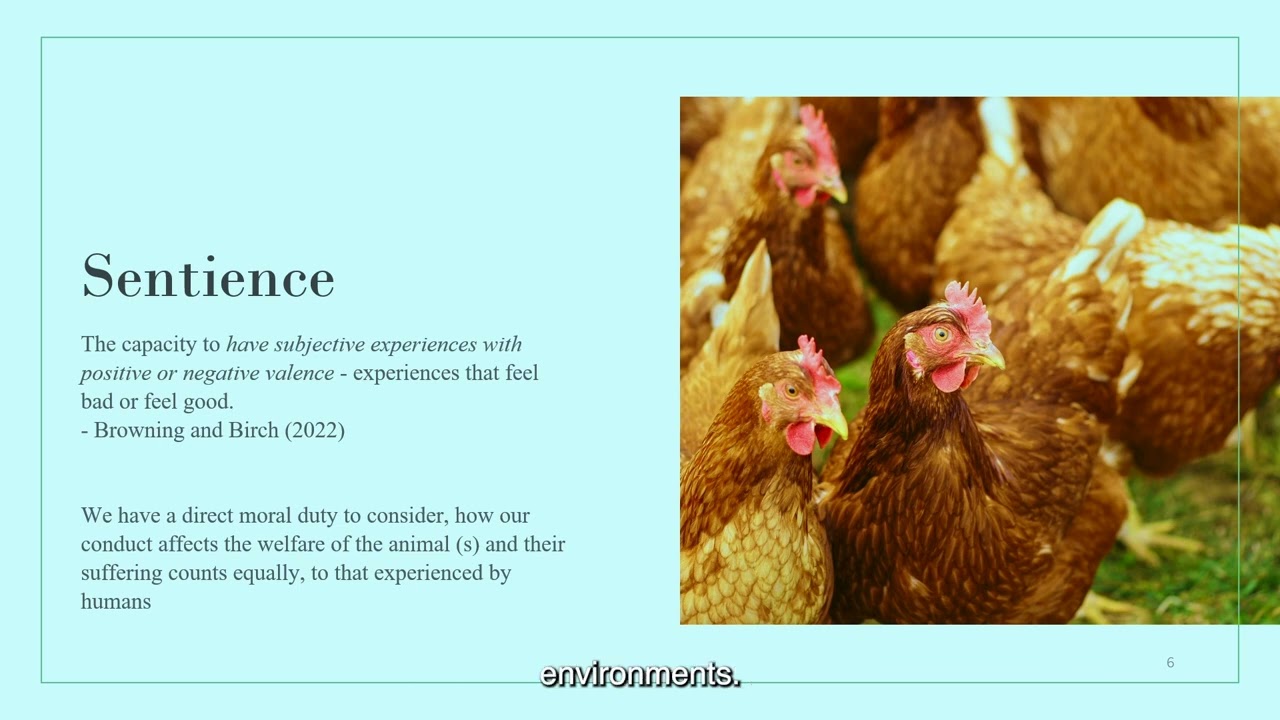 Cage Free Africa: Why It's Important | Dr. Sunday, Agbonika | EA Nigeria Summit 2024