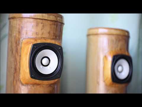 8cmフルレンジスピーカーと天然竹の響き空気録音 Fostex FE83en 自作アンプ基盤ヤマハ YDA138 fullrange speaker natural bamboo sound demo