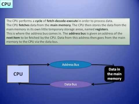 Computing GCSE - The CPU