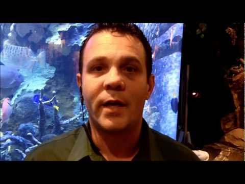 Hire Magician & Balloon Twister-Perry Yan - Magician in San Francisco ...