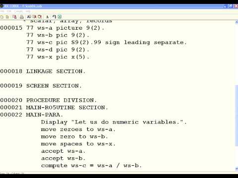 COBOL 6 Sign and Decimals Video Lecture - Back-End Programming