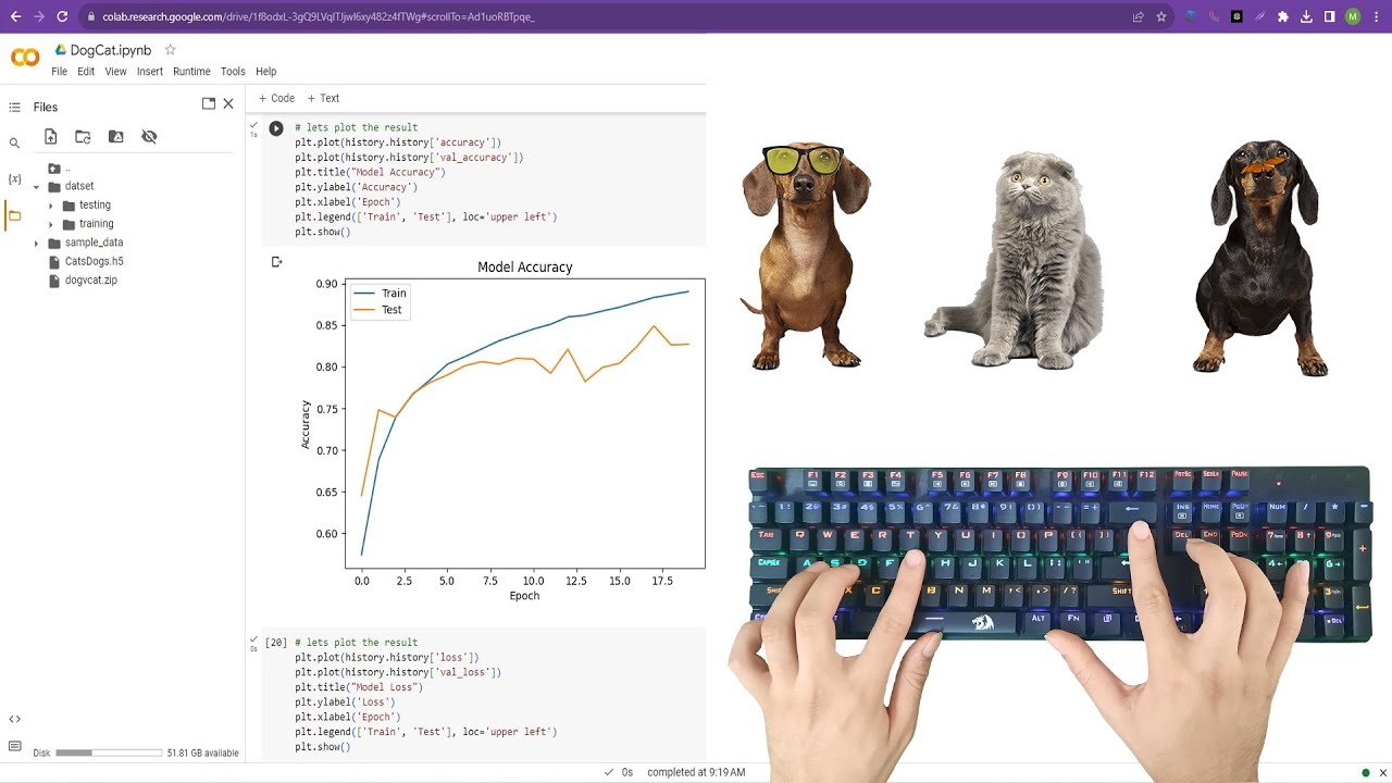 Dog and Cat Classification with AI, Machine Learning and Deep learning - ASMR Programming