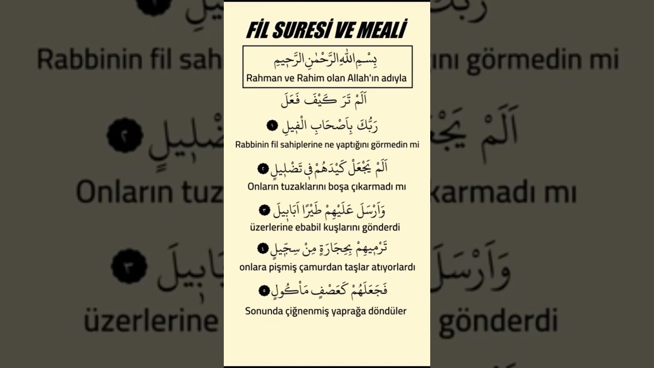 Fil Suresi Ve Meali youtubeshorts keşfet quran shorts