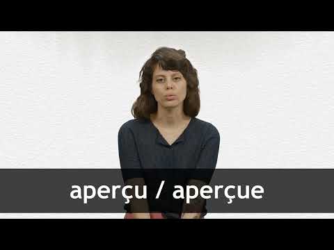 English Translation of “APERÇU” | Collins French-English Dictionary