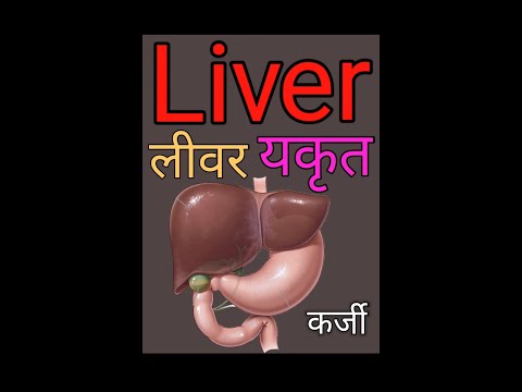 Liver meaning in hindi with photo मीनिंग इन हिंदी फोटो के साथ उच्चारण करना सीखें