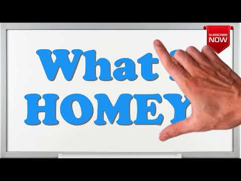 What is the full form of HOMEY?