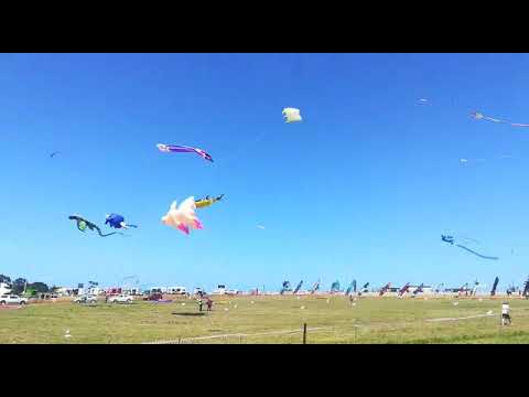 Eden Kite Festival benefits from gusty weather