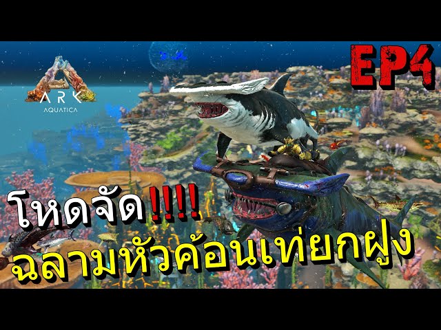 โหดจัด!!!! ฉลามหัวค้อนยกฝูงอย่างดุ ARK AQUATICA EP4 | วิดีโอครีเอเตอร์ ...