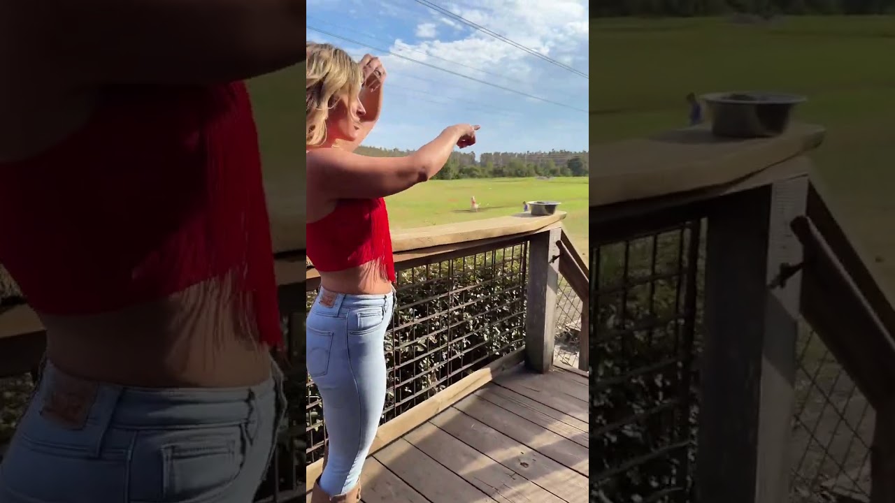 I just had to try it 🐓 #shortsfeed #shorts #shortvideo #ytshorts