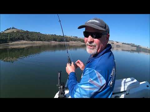 Trout Fishing, huge salmon spotted