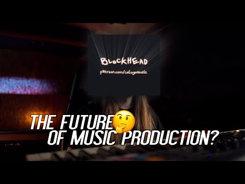 Blockhead DAW by Colugo. — Loopy Pro Forum