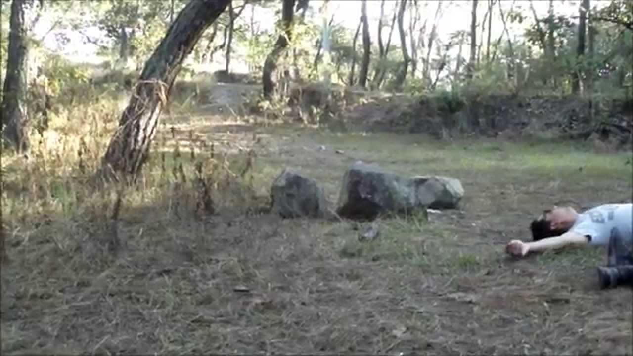 El Guardabosques