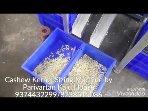 Kaju Sizing Machine - Cashew Sizing Machine Latest Price, Manufacturers ...