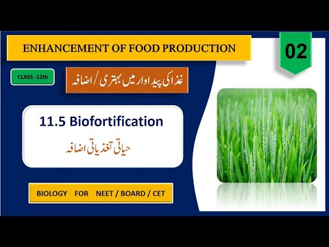 Biofortification|Enhancement in food production |class 12th biology |in urdu