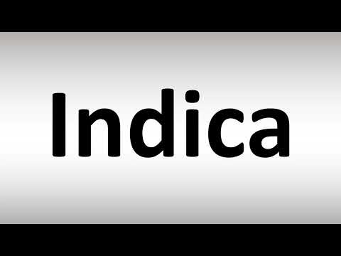 How to Pronounce Indica