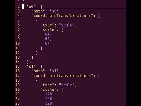 How to... work with json metadata using n5 and jq