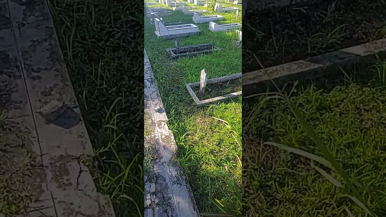 Ziarah Ke Makam Pahlawan #ziarah #makam #pahlawan #doa #shortvideo