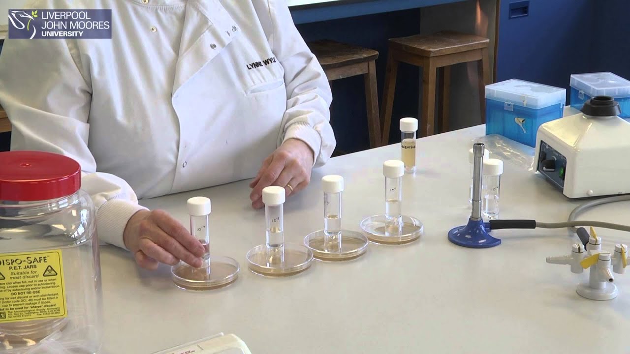 Understanding Viable Counting Techniques: Spread Plate and Miles Misra ...