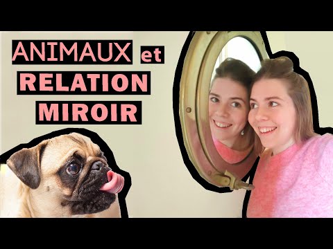 La relation miroir entre les humains et les animaux – Connecter le ...