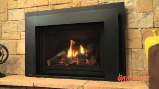 Regency® Liberty® LRI6E Gas Fireplace Insert - Hearth Appliances
