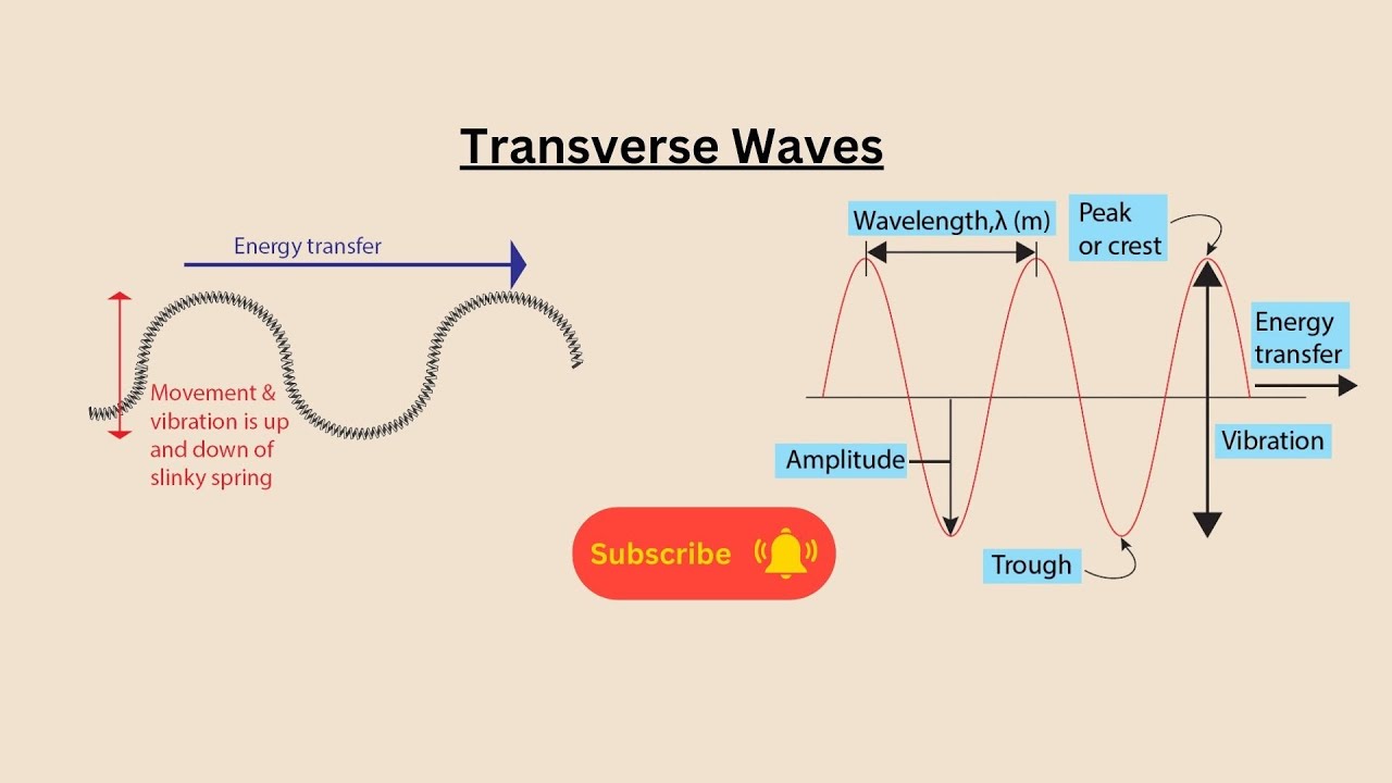 Transverse waves for AQA GCSE Physics and GCSE Combined science
