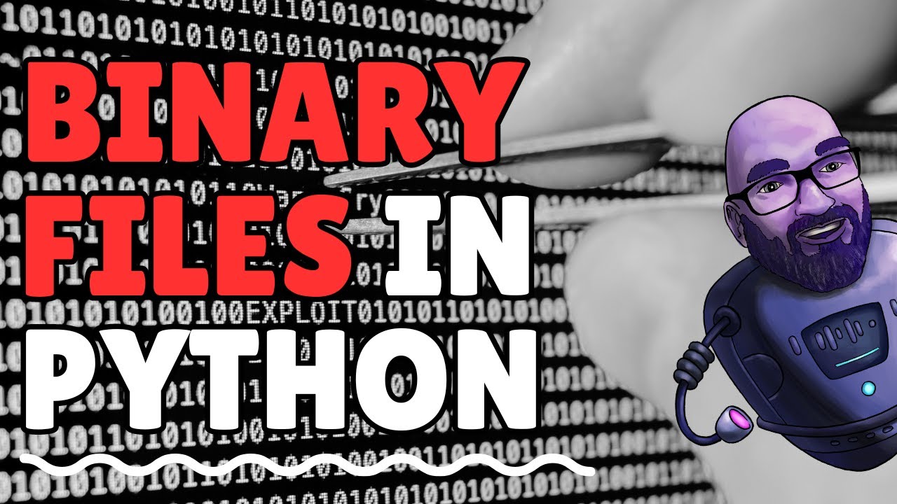 How to manipulate binary files in Python