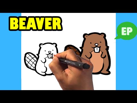 How to Draw a Beaver - Cute - Easy Pictures to Draw