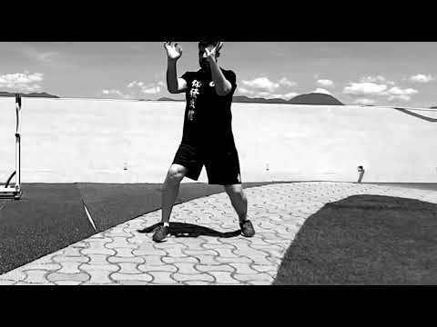 盧家拳 Lo Gar Kuen