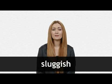 SLUGGISH 释义 | 柯林斯英语词典
