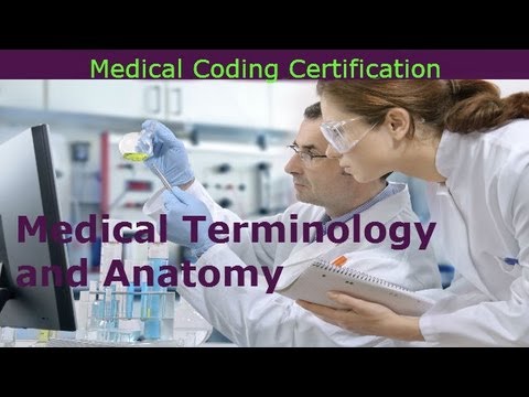 Medical Terminology and Anatomy Courses for Medical Coders