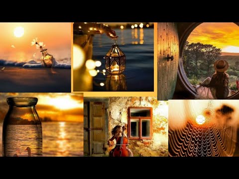 amazing yellow color images 🌻🍹🍦🍯🍋🌼🌽🌞 whatsapp status /dp / relaxing music.