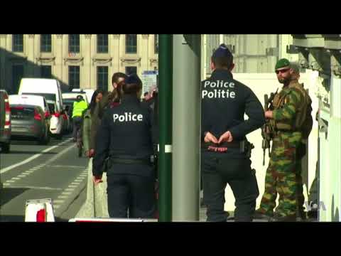 'Lone Wolf' Moniker Counterproductive in Fighting Terror, Researchers Say