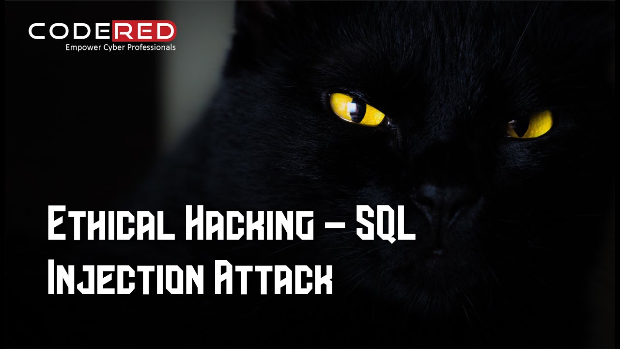 Ethical Hacking - SQL Injection Attacks - Course Overview