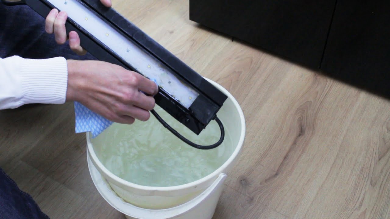 How To Clean Your Tri-Spec LED Lighting Unit - Interpet Aquatics