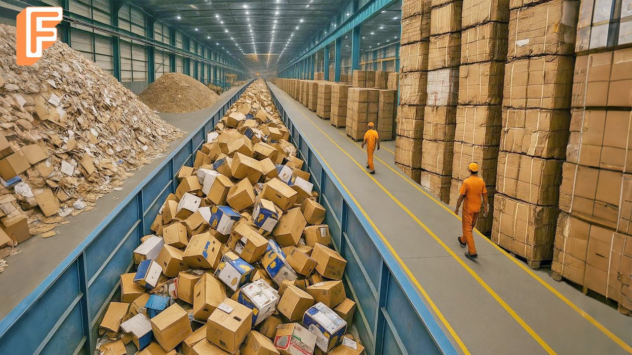 How Millions of Cardboard Boxes Are Recycled Inside Massive Recycling Line