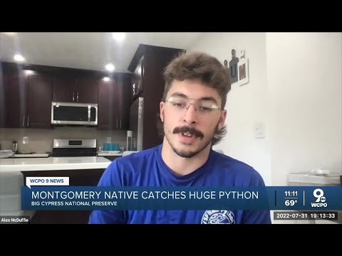 Cincy native nabs huge python in south Florida