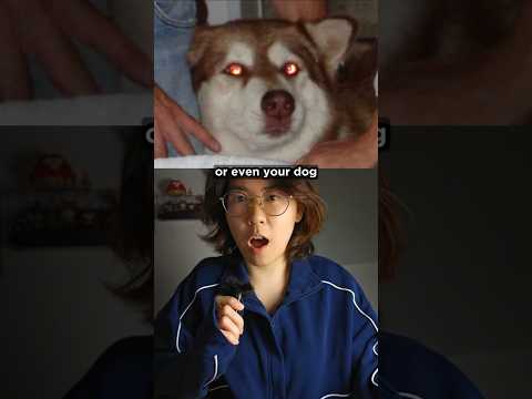 The Secret Behind Red Eyes in Old Pictures!